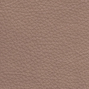 Natuzzi Editions Swatches | Sofas and Sectionals