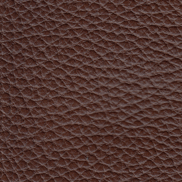 Natuzzi Editions Swatches | Sofas and Sectionals