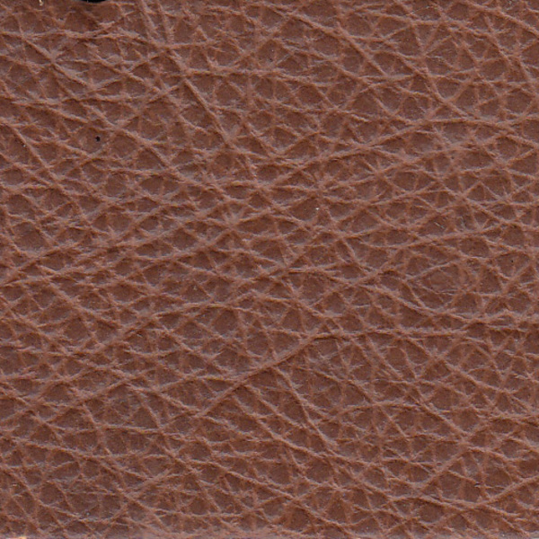 Natuzzi Editions Swatches | Sofas and Sectionals