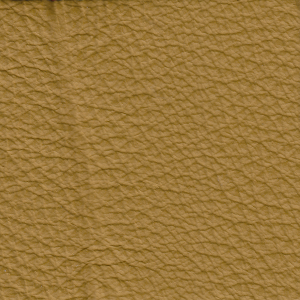 Natuzzi Editions Swatches | Sofas and Sectionals